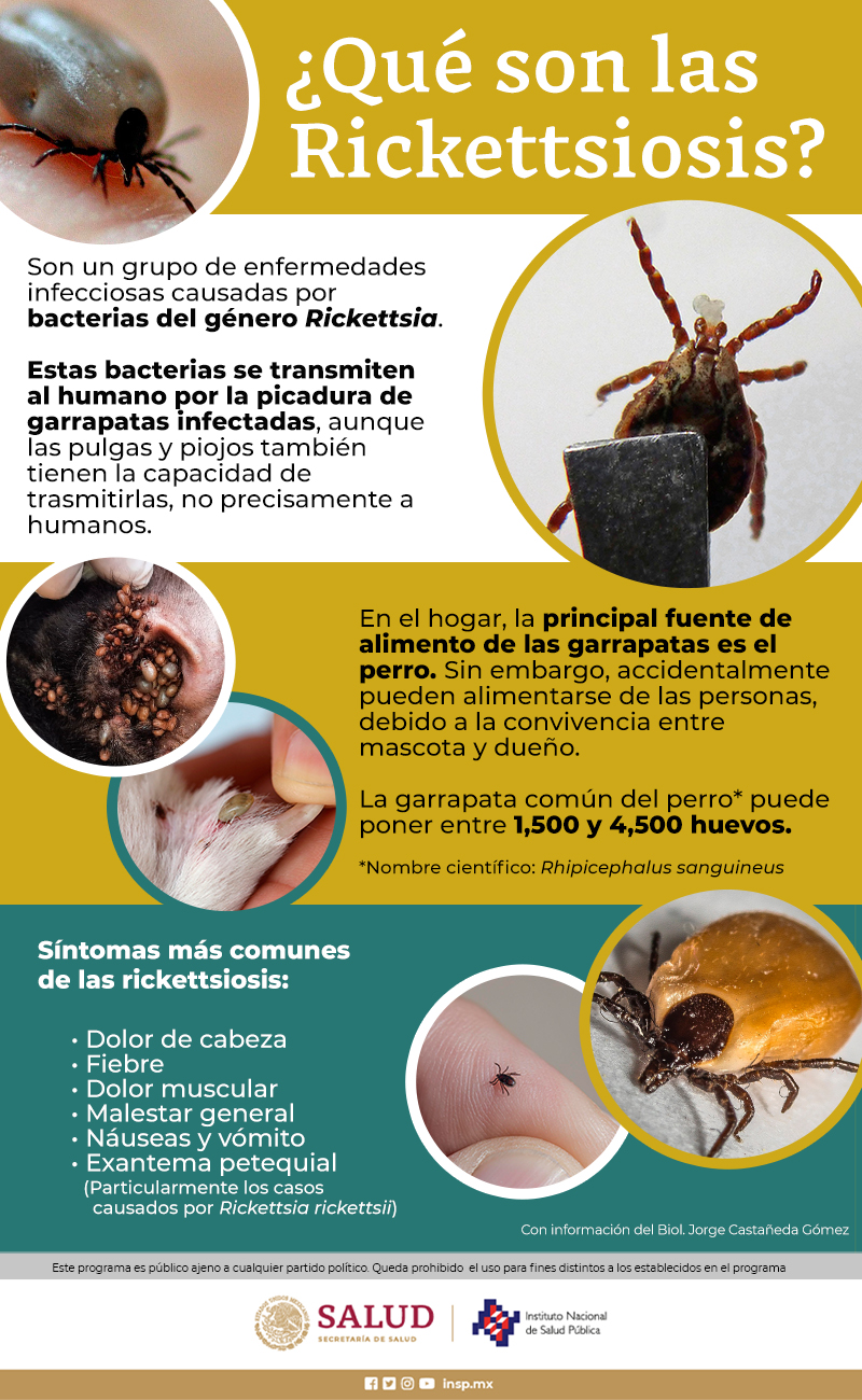 Instituto Nacional de Salud Pública