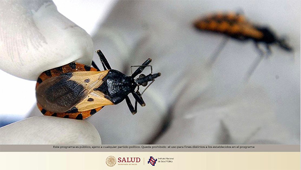 Instituto Nacional de Salud Pública